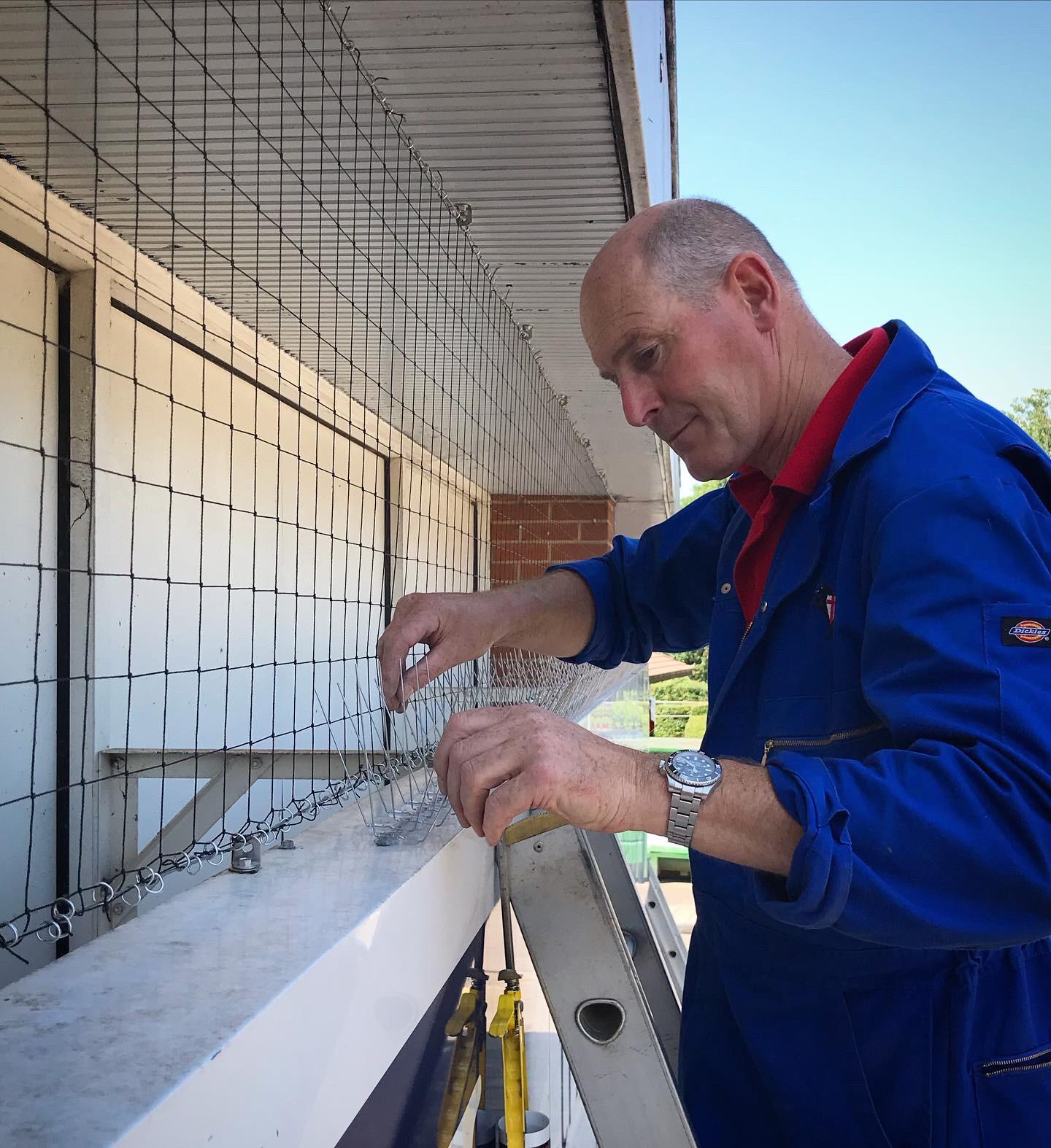 Pigeon Proofing Southend | St Georges Pest Control Southend